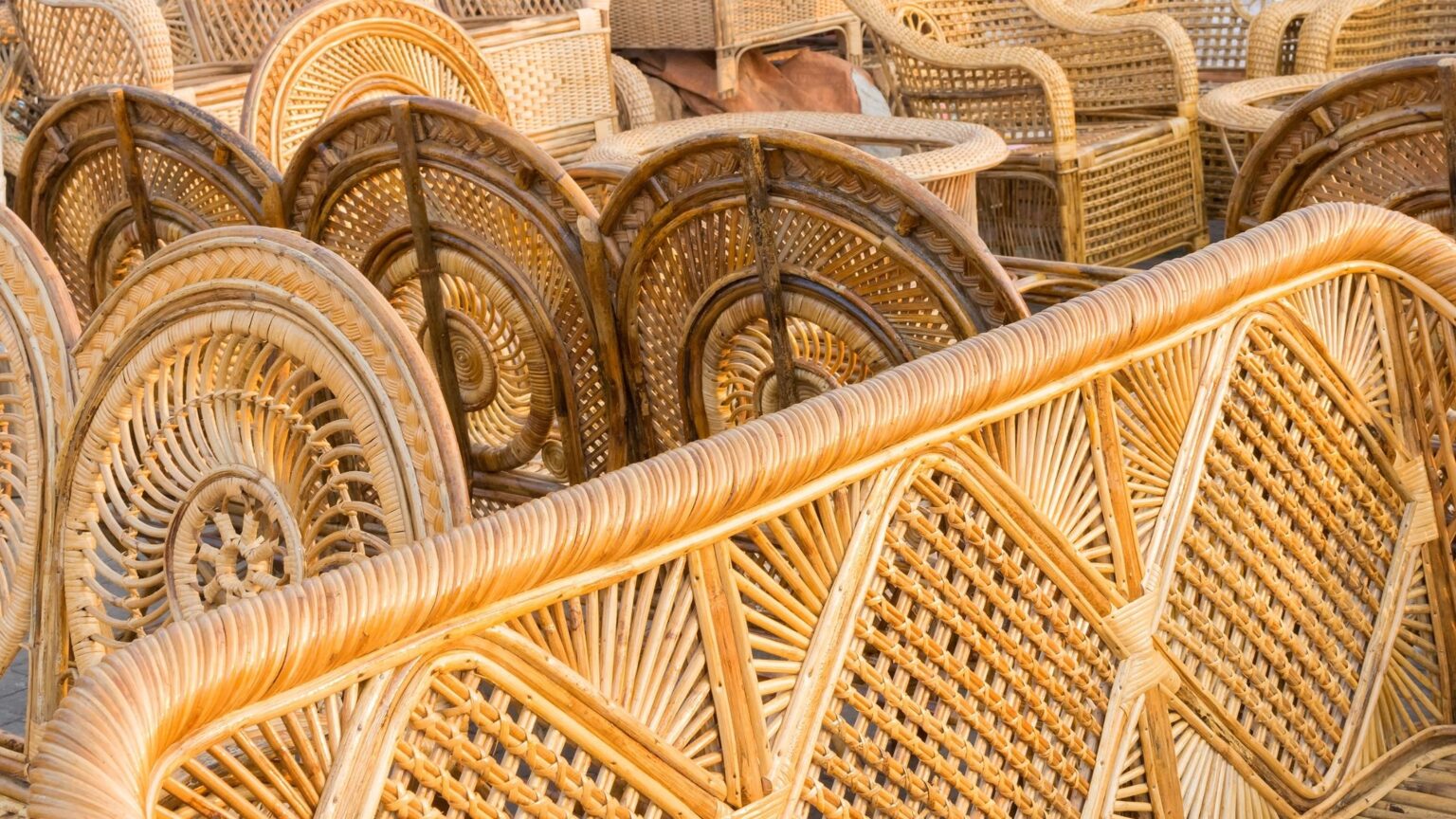 Cane Vs Rattan - What's The Difference And Why Is It Important?